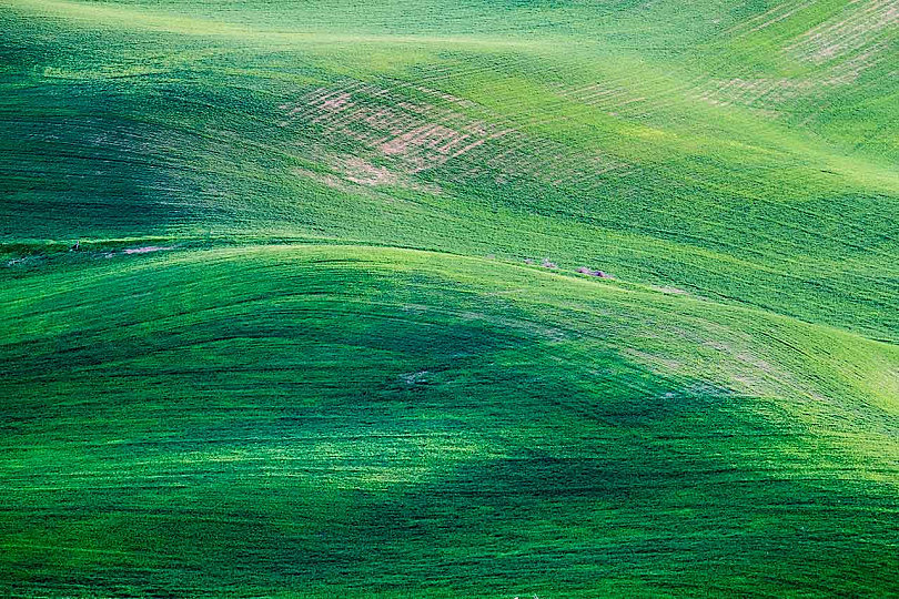 La Psicología del Color y su Uso en Fotografía