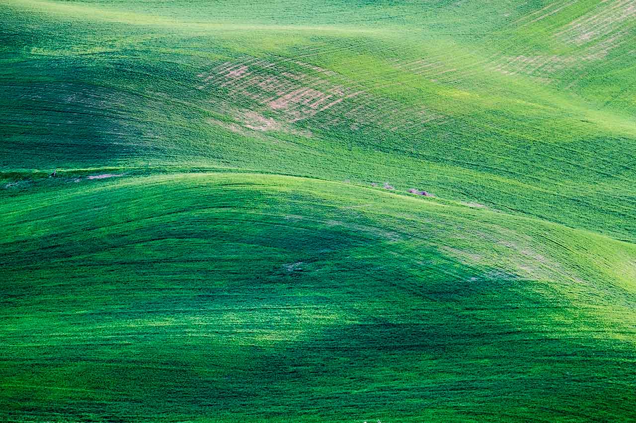 La Psicología del Color y su Uso en Fotografía