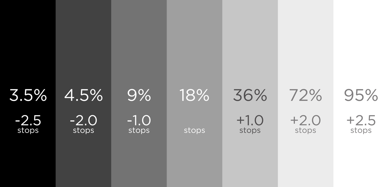 Tarjeta de Grises: Qué Es y Para Qué Se Utiliza