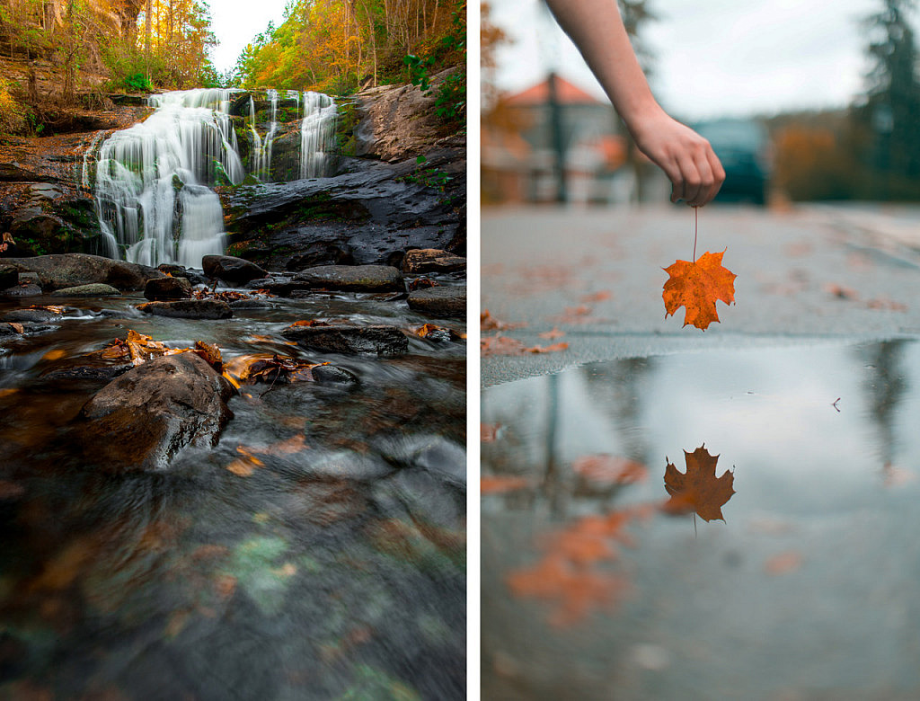 13 Consejos para Hacer Fotos en Otoño