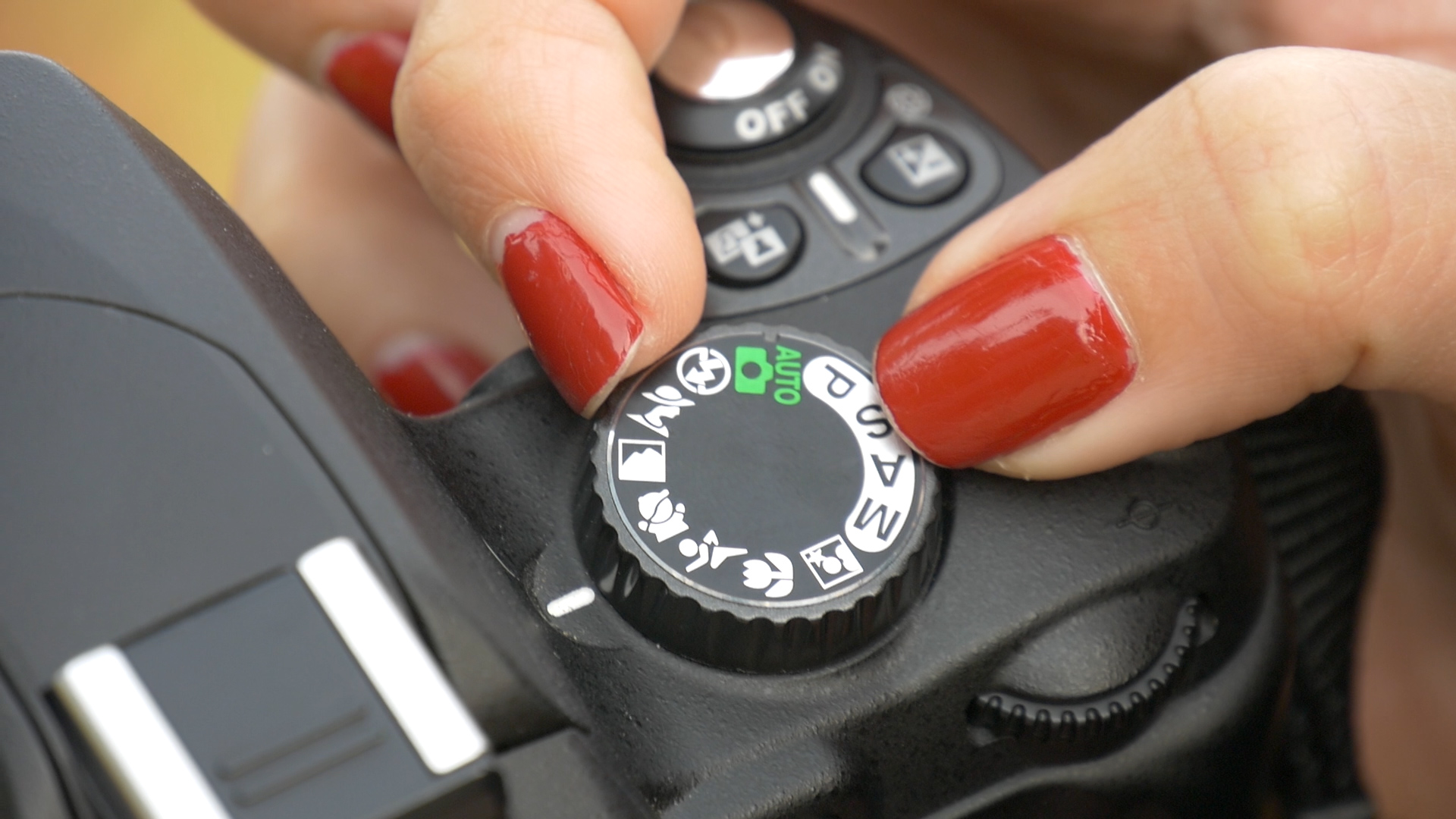 Cómo Usar los Modos Escena para Aprender Más Fotografía