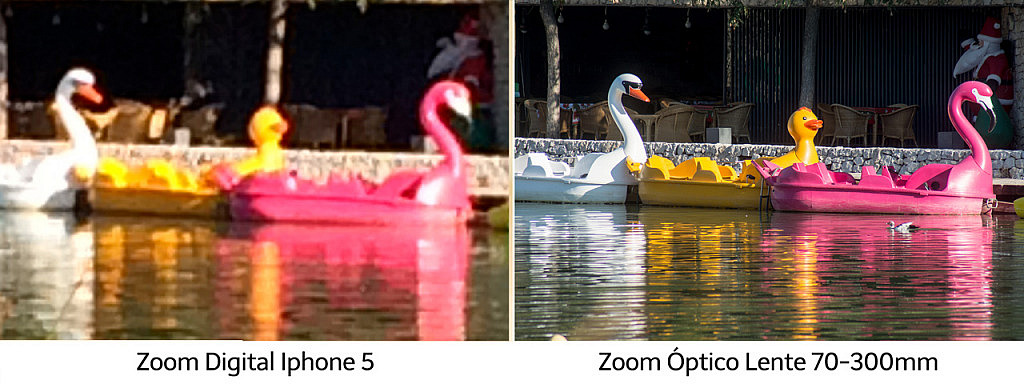 Zoom Óptico y Zoom Digital: ¿Cuál es Mejor?