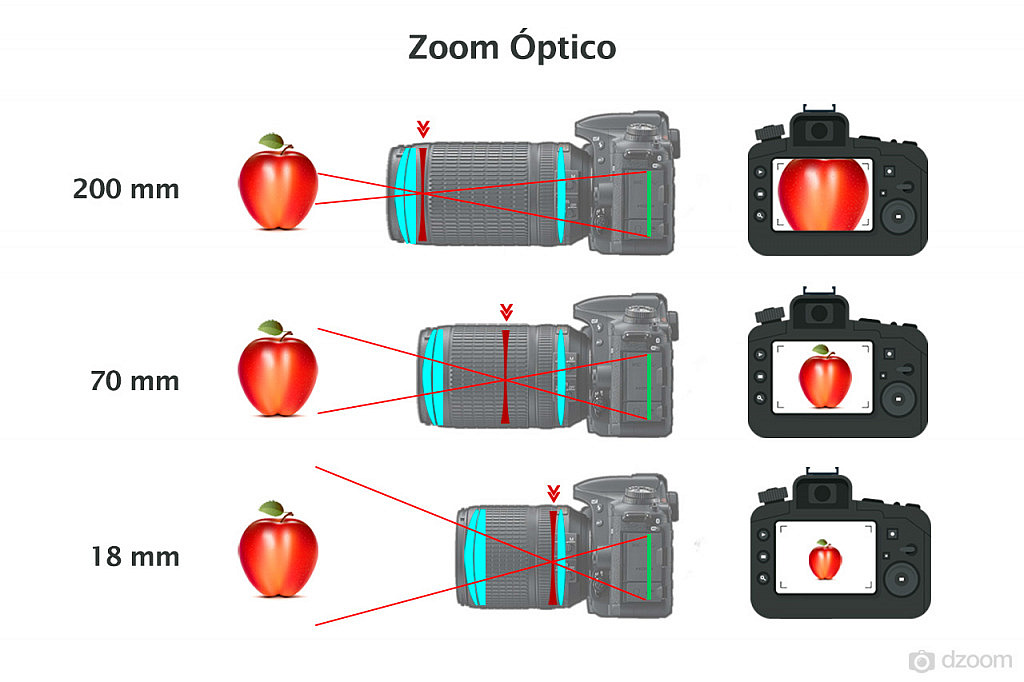 Zoom Óptico y Zoom Digital: ¿Cuál es Mejor? Zoom Óptico y Zoom Digital: ¿Cuál es Mejor?