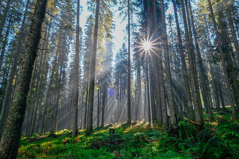 Contraluz en Fotografía: La Guía Definitiva para Sacarle Todo el Partido