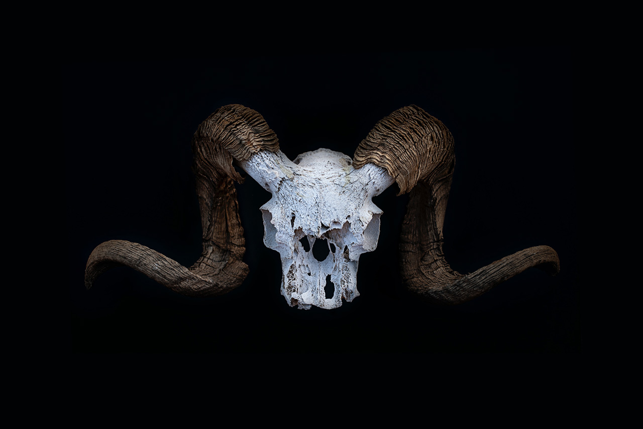 Cómo Conseguir Fotos con un Fondo Completamente Negro